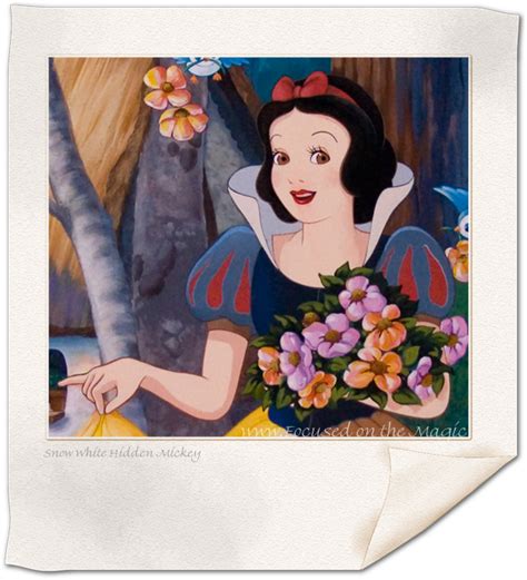 Wordless Wednesday ~ Hidden Mickey Focused On The Magic Wordless