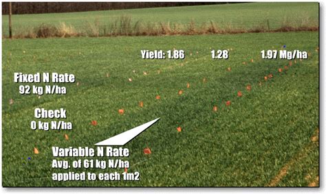 Sensor Based Improvement Of Nue