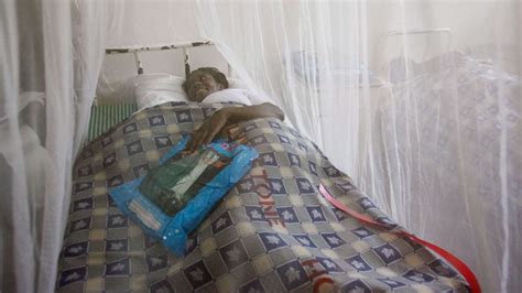 La Oms Alertó Sobre Los Crecientes Casos De Malaria En Venezuela Infobae