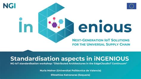 Ingenious Standardization Workshop2024 01 17pdf