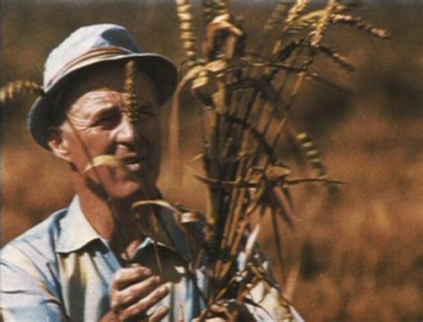 Norman E Borlaug National Science And Technology Medals Foundation
