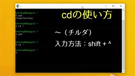 linuxコマンド；pwd cd ls youtube