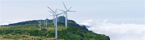 Agriculture And Livestock — Mustafa Dutar Group Electrical