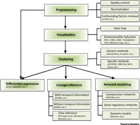 Single Cell Analysis In Cancer Genomics Trends In Genetics
