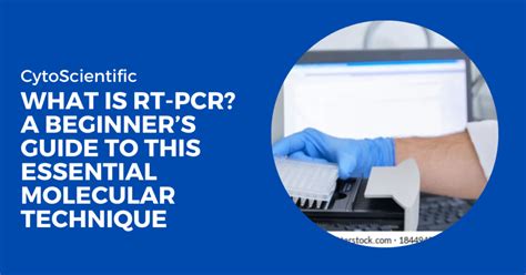 What Is Rt Pcr A Beginners Guide