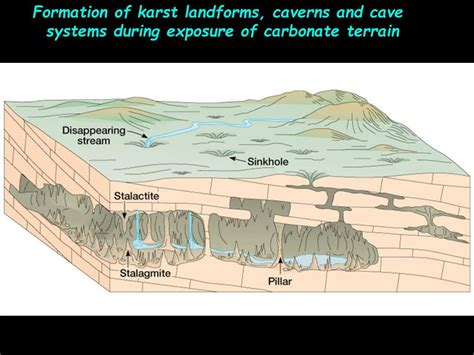 Ppt Carbonate Sediments Facies And Depositional Environments Powerpoint Presentation Id4528546