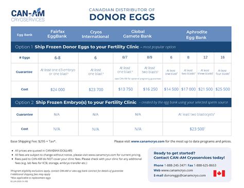 Compare Your Options Donor Eggs