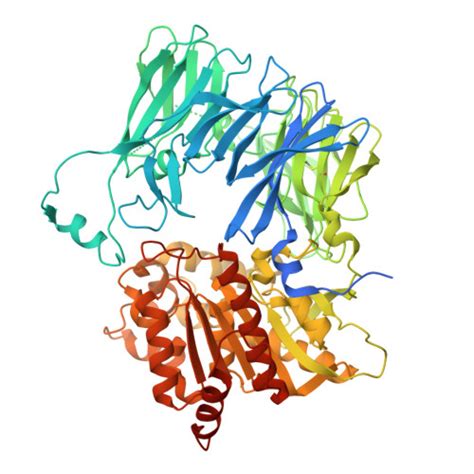 Rcsb Pdb 5jrl Crystal Structure Of The Sphingopyxin I Lasso Peptide