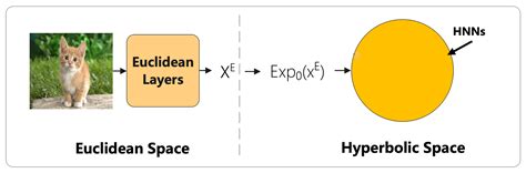 Clipped Hyperbolic Classifiers Are Super Hyperbolic Classifiers