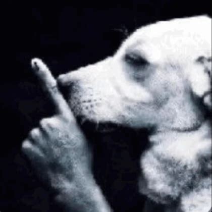 Dog Shushing Meme