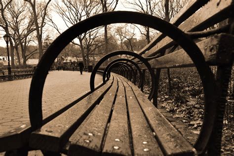 International Perspective Photography Constest By Mgphoto 30 June 2018