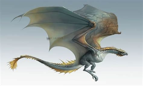 Moondancer House Of The Dragon A Targaryen History In 2024 Dragon