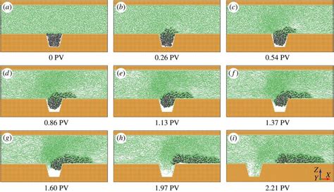 Consecutive Snapshots Of The Polymer Flooding Process At Different