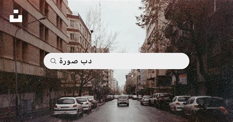 صورة دب Pictures Download Free Images On Unsplash