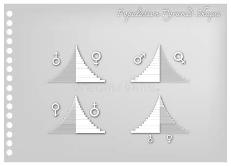 Detail Of Population Pyramids Graphs Depend On Age And Sex Stock Vector Illustration Of