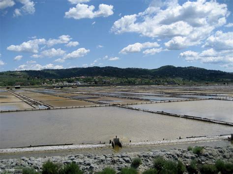 Sečoveljske Soline Kraji Slovenija