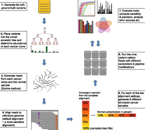 Workflow Of The Comparison Of The Nine Variant Callers A Heterogeneous