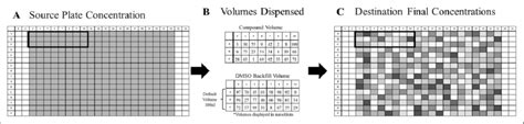 Map Of A High Throughput Jump Dilution Using The Dynamic Transfer Download Scientific Diagram
