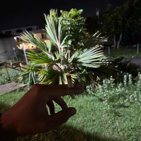 Stream Vulnerability By 𝖙𝖋𝖚 And J𝖆𝖒 Listen Online For Free On Soundcloud