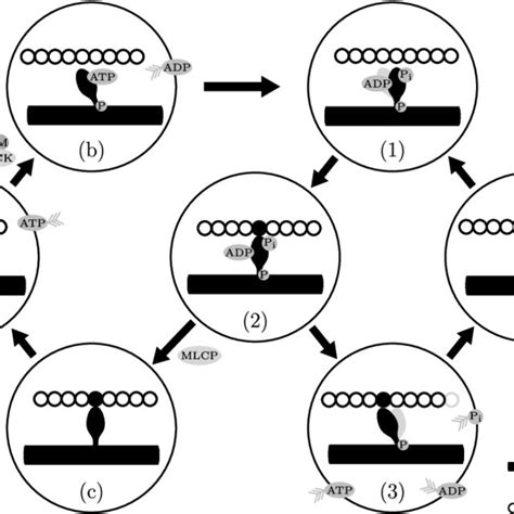 Structure Diagram Of Pneumatic Amplifier In Figure I 1 Is The Screw