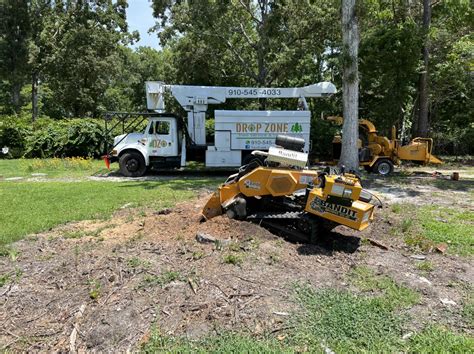 Services Drop Zone Llc Tree Service And Landscaping