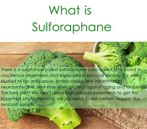 Broccoli Extract Sulfur At Claudia Aunger Blog