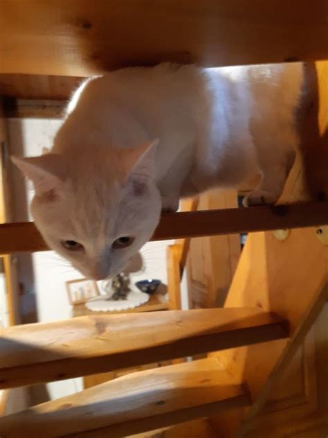 Minidril Le Blog De Frimousse