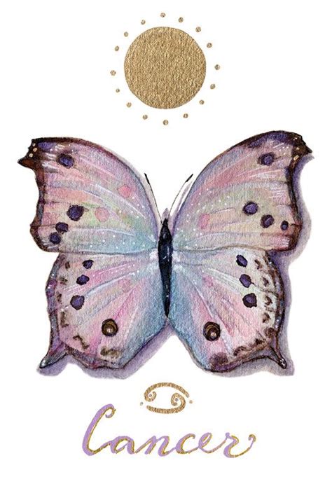 Zodiac Signs Butterfly 60 Photos