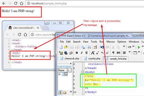 Как узнать Php код сайта