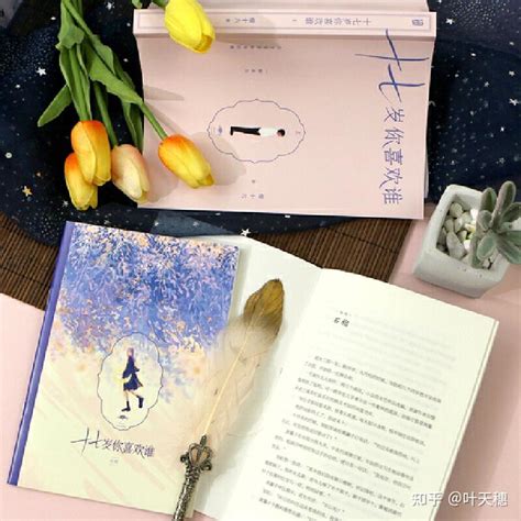 杨紫范丞丞199爱原著小说《十七岁你喜欢谁》 知乎