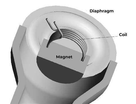 How To Confidently Choose The Right Mic Micpedia