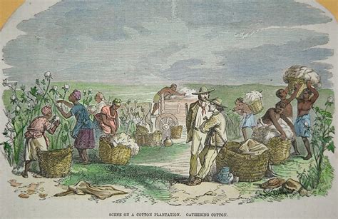 Importance Of The Slave Trade To The British Economy Revision 4