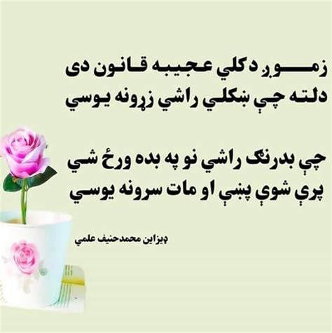 تازه فلمونه تازه شعرونه