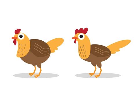 Chok Koak Vetor Premium