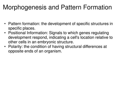 Ppt Plant Structure Growth And Development Powerpoint Presentation