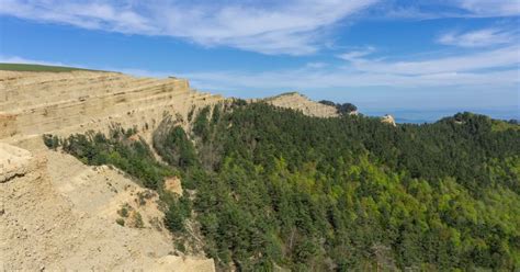 მარიამჯვრის ნაკრძალი