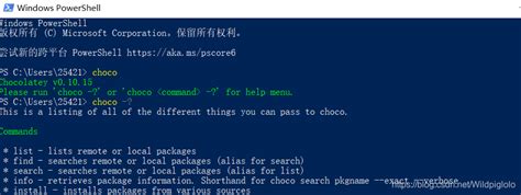 chocolatey windows包管理器的下载和使用（超详细） chocolatey下载 csdn博客