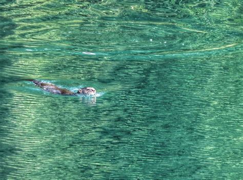 Exploding Lakes Wearthefoxhat