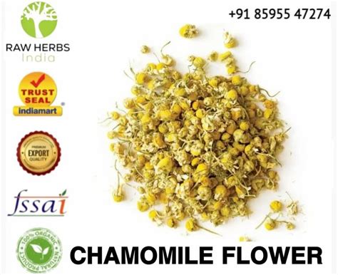 Chamomile Flower At ₹ 550 Kg Chamomile Flower In New Delhi Id