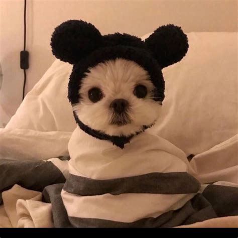 易建联罕见发飙！场上怒吼徐杰，拿球狠砸地板，杜锋立马换下两人广东队深圳队裁判