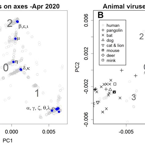 Principal Component Analysis Pca With Axes Found In The Data Up To Download Scientific