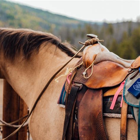 Troublesome Basin Hunting Pack Inout Samuelson Outfitters