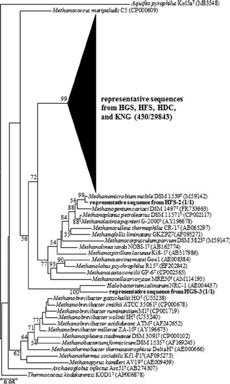 Score Plot Of Principal Component Analysis Pca Of Rumen Metabo