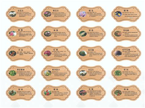 现代树牌su模型下载【id1134212634】知末su模型网