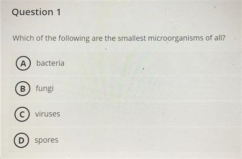 Solved Question Which Of The Following Are The Smallest Chegg