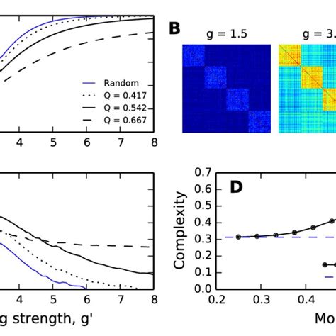 functional complexity of hierarchical and modular networks mean
