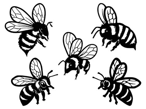 Buzzing Honey Bee Free Svg File For Members Flying Bees Clipart Image