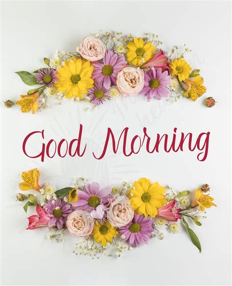 Good Morning Flower