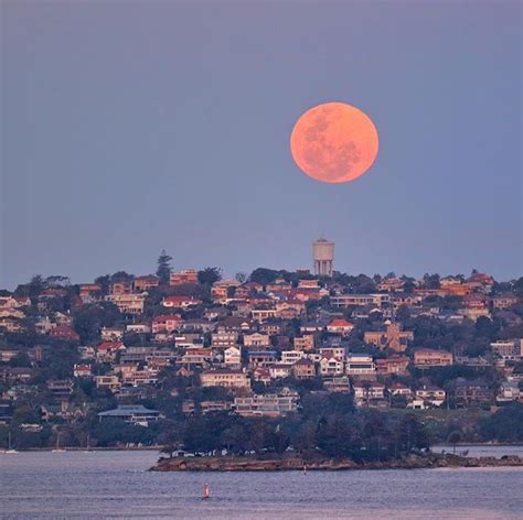 Pictures Of Sydney Moon