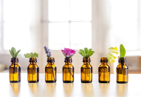 Лаванда, мята, лимон: незаменимые эфирные масла в моем доме - Organicwoman